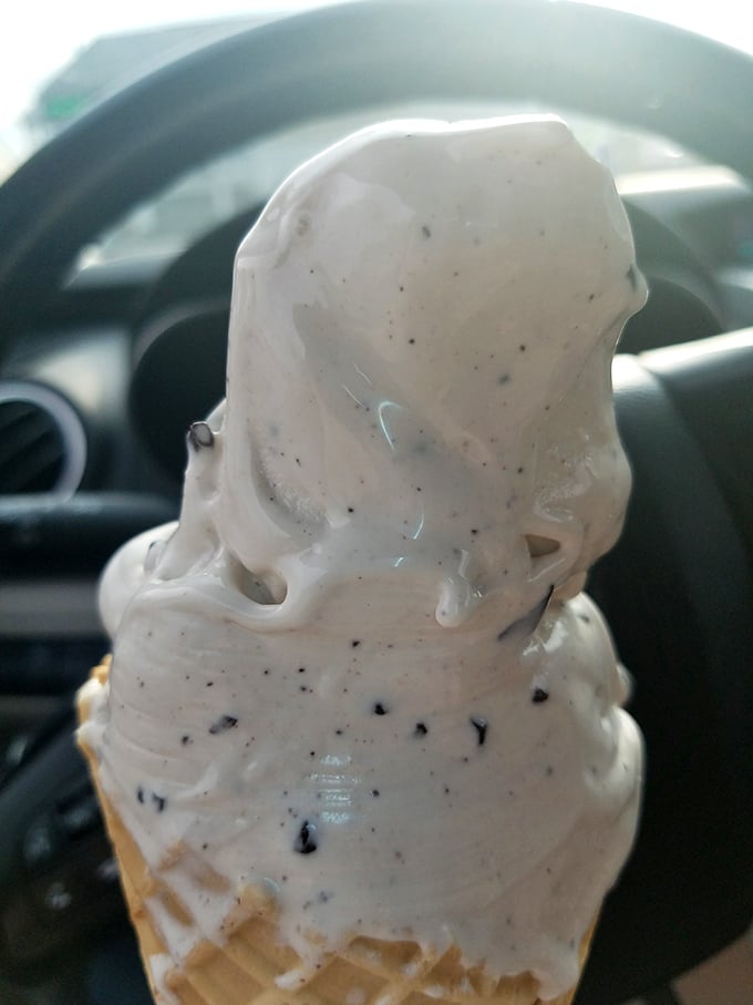 Cookies and cream with visible specks of cookie goodness—proof that sometimes the classics endure because they're simply unbeatable.