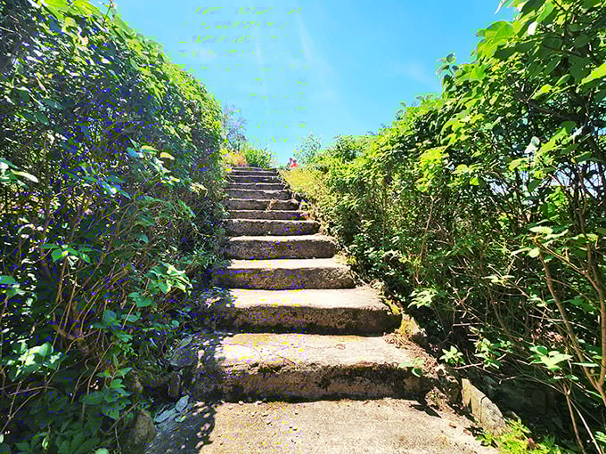 These stone steps, embraced by greenery, invite exploration—each one leading you deeper into the island's blend of natural beauty and human history.