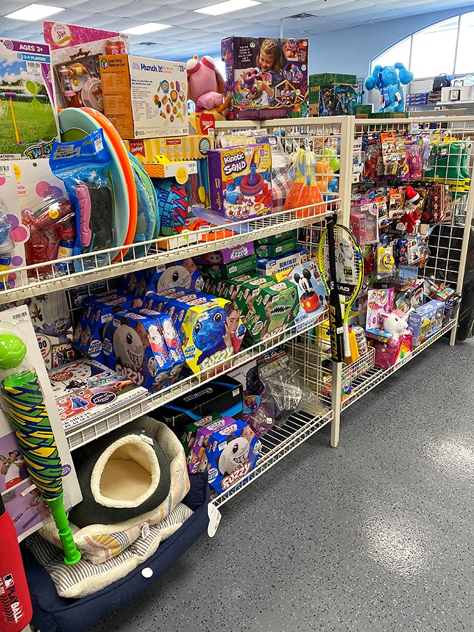 Toy section magic that makes grandparents heroes without emptying retirement accounts. From stuffed animals to outdoor fun, childhood joy at clearance prices.