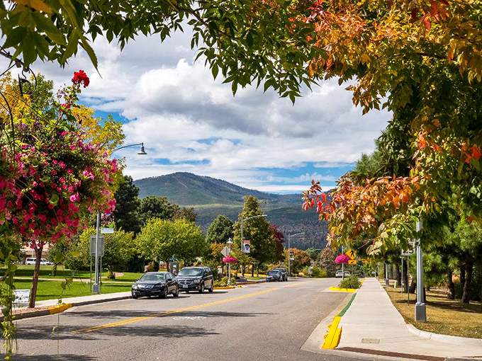 Los Alamos streets burst with autumn color, proving that retirement in scientific communities can be both beautiful and affordable.