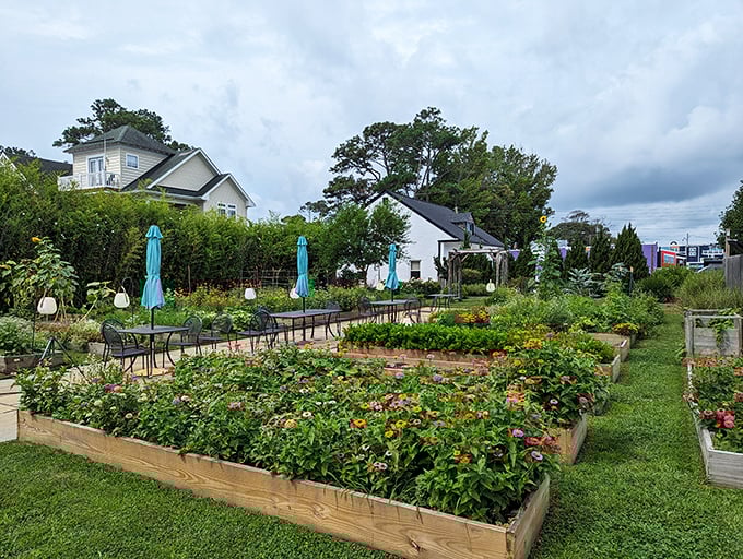 The lush garden beds at Commune aren't just for show—they're tomorrow's special on today's menu. Freshness you can witness!