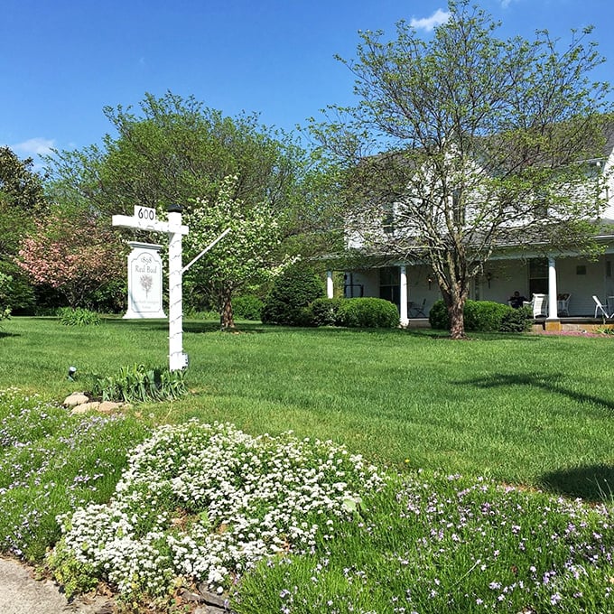 This charming white farmhouse with its flower-dotted lawn embodies the peaceful simplicity that makes Wilmore a hidden Kentucky treasure.Add to Conversation