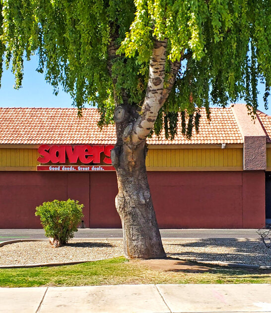 arizona treasures discount store ftr