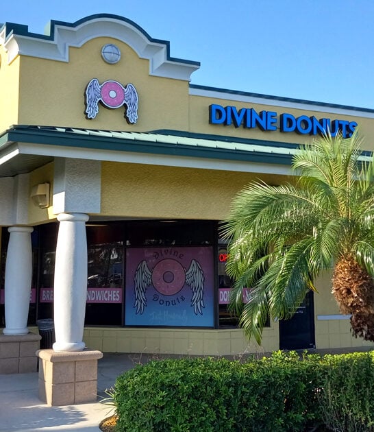 cake donuts florida bite ftr