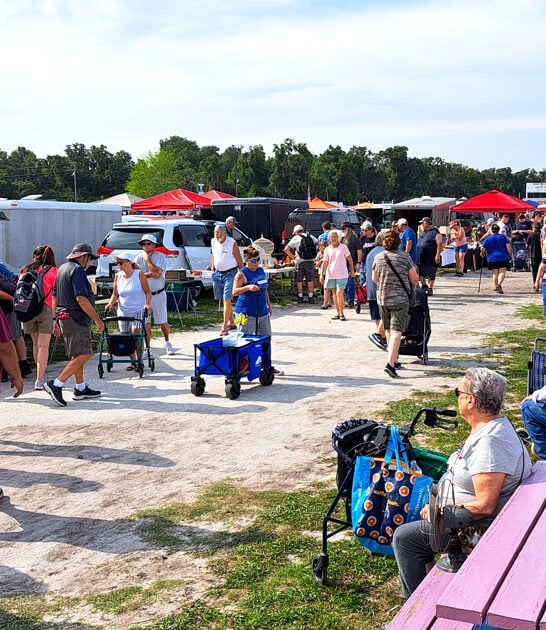 enormous flea market florida ftr