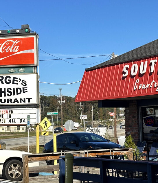 fried steak south carolina ftr