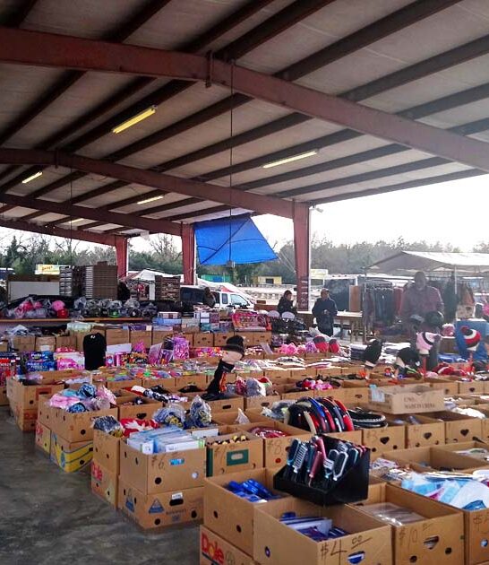 gigantic flea markets georgia ftr