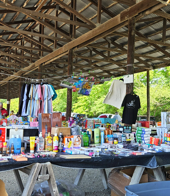 gigantic flea markets virginia ftr