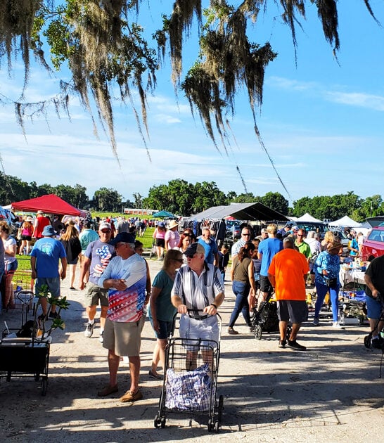hidden market gem florida ftr