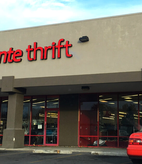 massive secondhand shops kansas ftr
