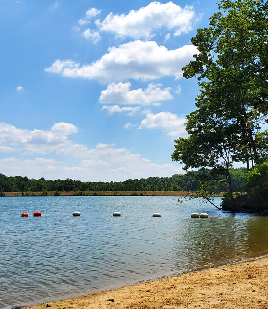 postcard worthy beach arkansas ftr