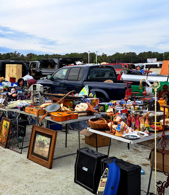 shop all day florida ftr