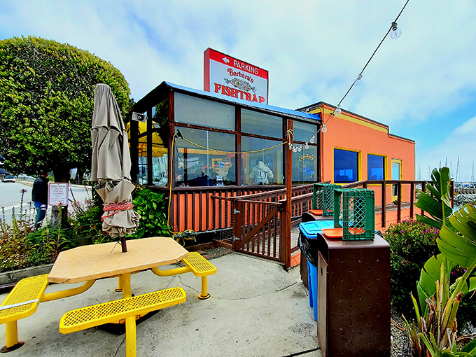 The colorful exterior of Barbara's Fishtrap stands like a cheerful sentinel by the sea, its bright orange and blue façade promising seafood treasures within.
