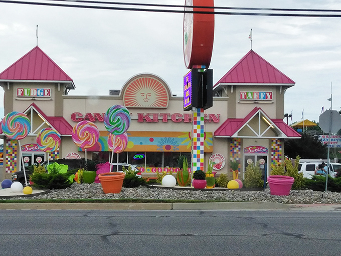The pink-roofed beacon of sweetness beckons from Coastal Highway, promising a sugar rush that transcends generations.