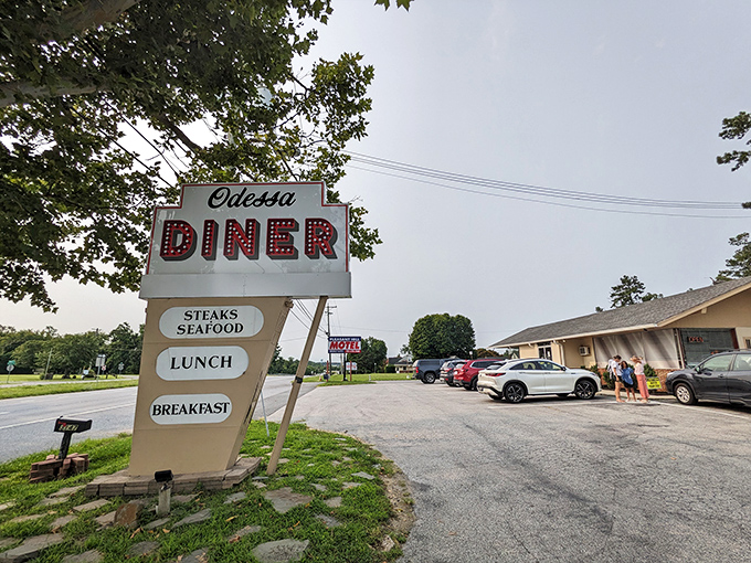 The unassuming exterior of Odessa Diner hides culinary treasures within. Like all great diners, it's not about curb appeal—it's about what happens on your plate.