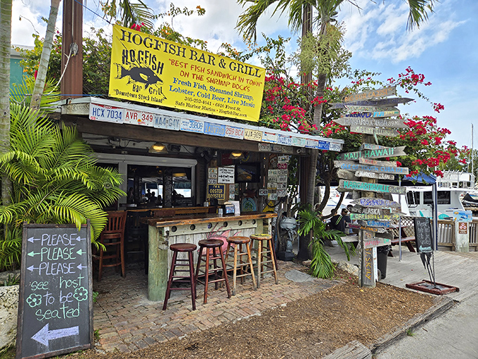 The iconic Phillips 66 sign and thatched roof welcome you to Hogfish Bar & Grill—proof that Florida's best treasures aren't always hiding in plain sight.