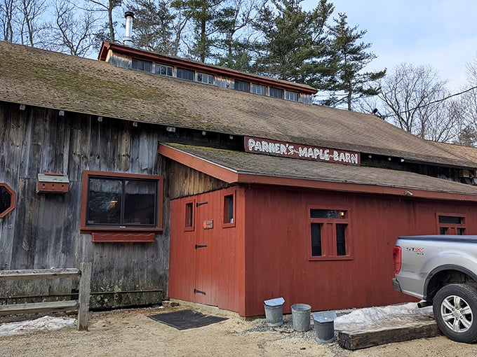 The iconic red facade of Parker's Maple Barn stands as a beacon of breakfast hope among New Hampshire's majestic pines.