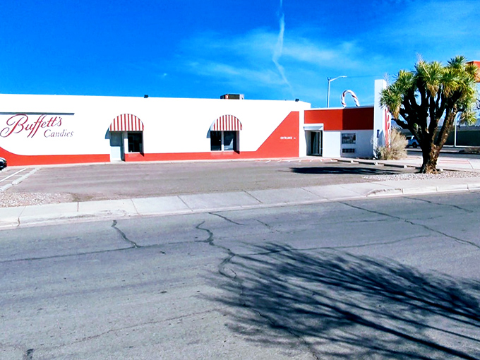 The red and white exterior of Buffett's Candies stands like a sweet mirage in the desert, promising sugary salvation to Albuquerque's candy pilgrims.