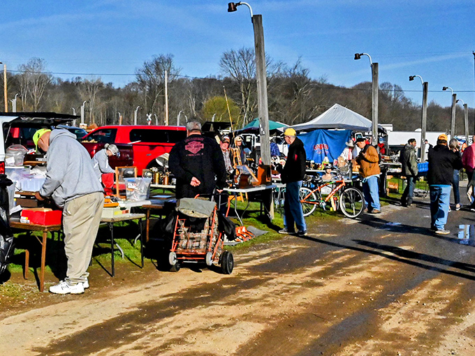 A treasure hunter's paradise unfolds at Rogers Flea Market, where yesterday's memories meet tomorrow's collectibles under the Ohio sky.