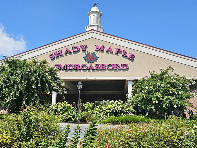 The legendary Shady Maple Smorgasbord stands like a culinary cathedral in East Earl, where Pennsylvania Dutch country's bounty comes to life under one massive roof.