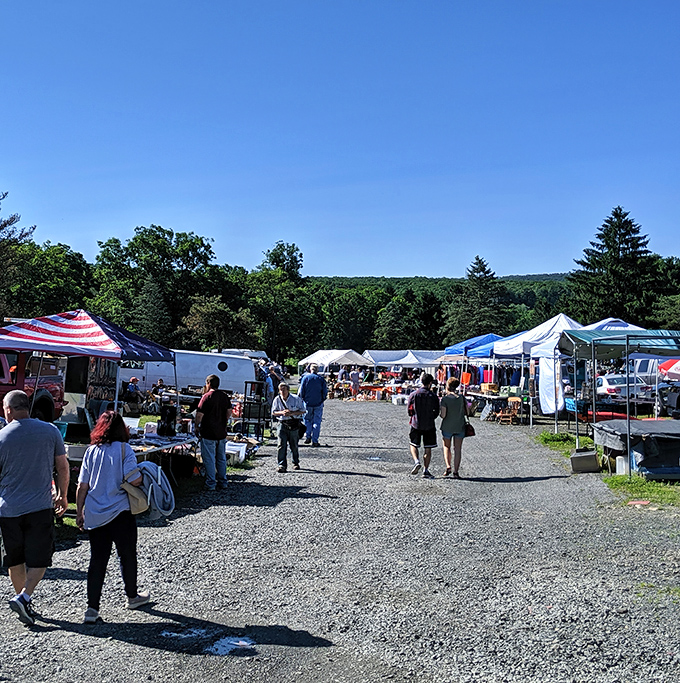 Treasure hunting paradise under blue Pennsylvania skies. The gravel pathways of Blue Ridge Flea Market lead to discoveries waiting around every corner.