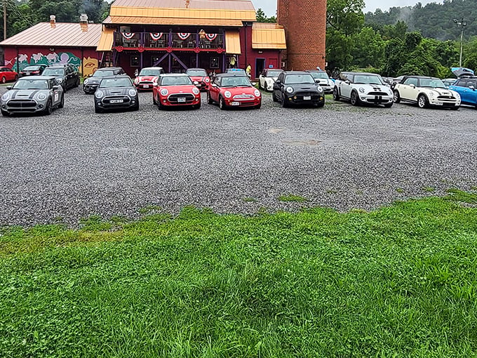 The gravel parking lot filled with Minis speaks volumes – this unassuming rustic exterior draws serious food pilgrims from across state lines.