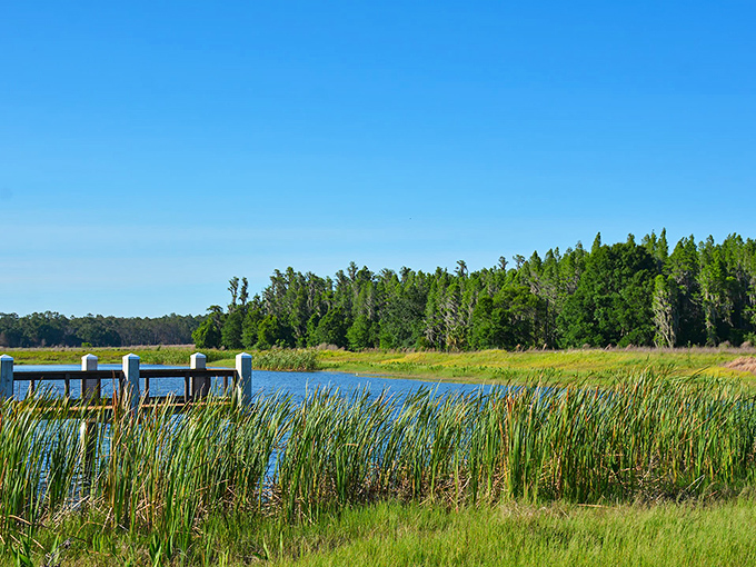 Nature's infinity pool! Mac Lake's serene waters mirror Florida's impossibly blue skies, creating a double dose of tranquility that no spa treatment could match.