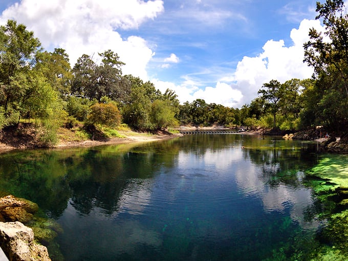 Nature's perfect mirror reflecting Florida's true soul—a spring so pristine you'd think someone Photoshopped reality. Breathtaking doesn't begin to cover it.