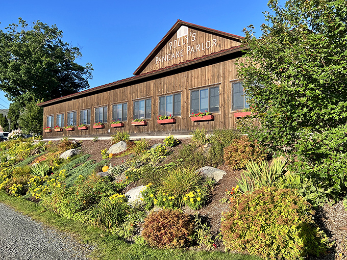 The quintessential New England breakfast experience housed in rustic wooden charm. Polly's sits like a maple-scented beacon on the hillside, welcoming hungry pilgrims.