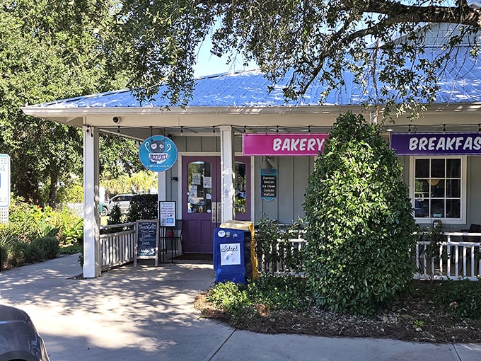The unassuming exterior of BuzzCatz with its cheerful purple door promises culinary treasures within. Like finding a diamond in a beach town—this place delivers.