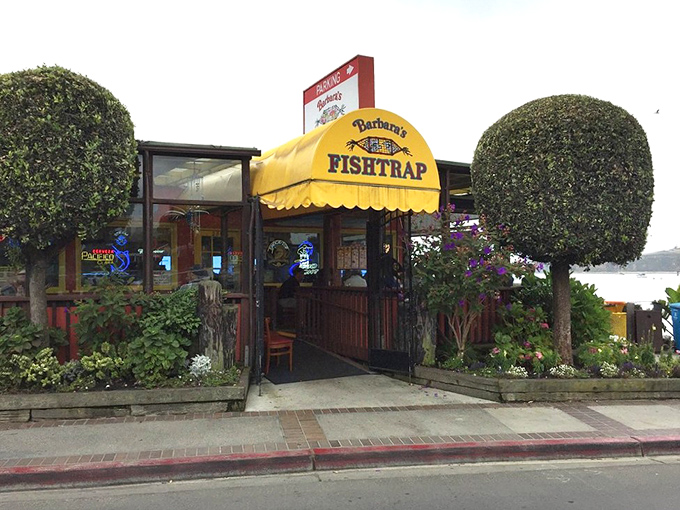 The colorful exterior of Barbara's Fishtrap stands like a cheerful sentinel by the sea, its bright orange and blue façade promising seafood treasures within.