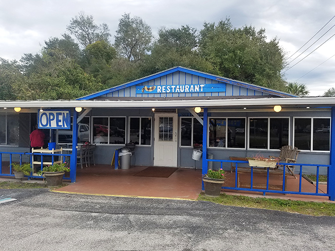 Think roadside charm meets Havana heat, all served with a side of “Where has this been all my life?”
