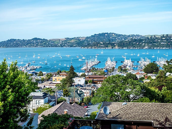 Sausalito unfolds like a Mediterranean daydream, with hillside homes cascading toward the bay and sailboats dotting the water like confetti at a nautical parade.