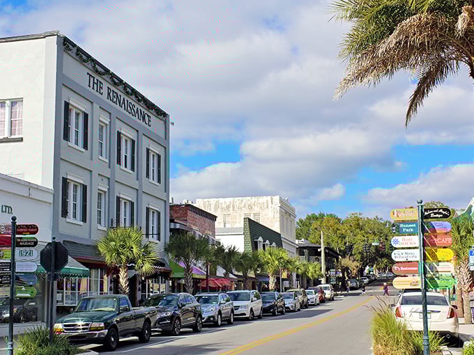Downtown Mount Dora looks like a movie set where small-town charm collides with Florida sunshine. Those palm trees aren't just showing off—they're permanent residents. 