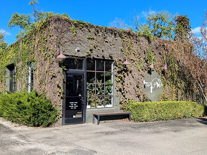 The ivy-covered exterior of Fox in the Snow feels like discovering a secret garden café where pastries, not flowers, are the main attraction.