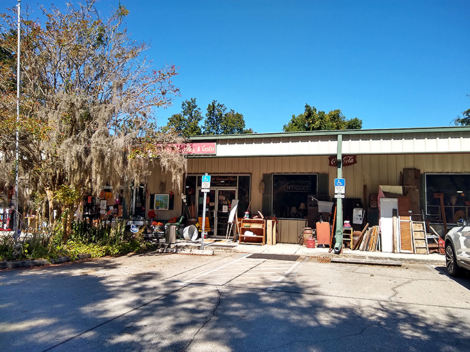 Spanish moss drapes over Sugar Bear Antiques like nature's welcome sign. This unassuming exterior holds treasures that would make Indiana Jones rethink his career path.
