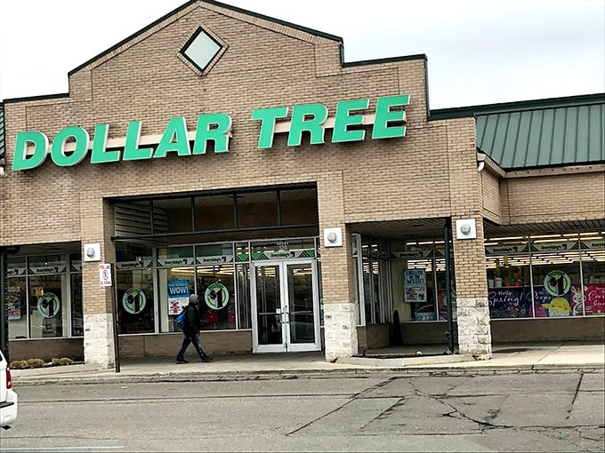 The iconic green lettering beckons like a siren song to bargain hunters. Who knew paradise could be housed in a suburban strip mall?
