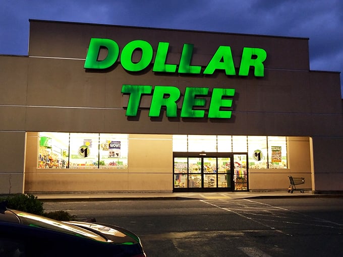 The iconic green signage of Dollar Tree beckons like a budget-friendly lighthouse on a rainy Seattle day. Bargain hunters, your port awaits!