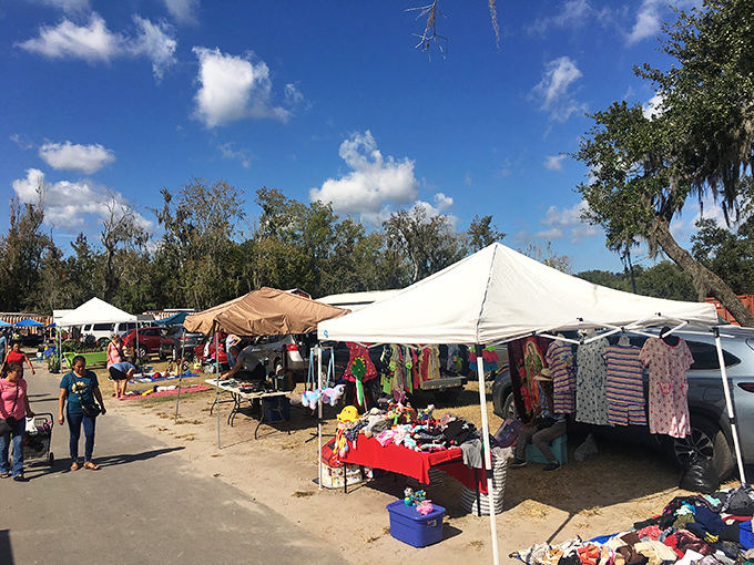 Treasure hunters navigate the bustling aisles of Plant City's weekend wonderland. The thrill of discovery hangs in the air like Florida humidity—inescapable and oddly energizing.