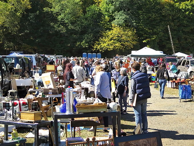 Treasure hunters navigate the bustling aisles on a perfect New England morning. The thrill of the hunt is palpable in the autumn air.