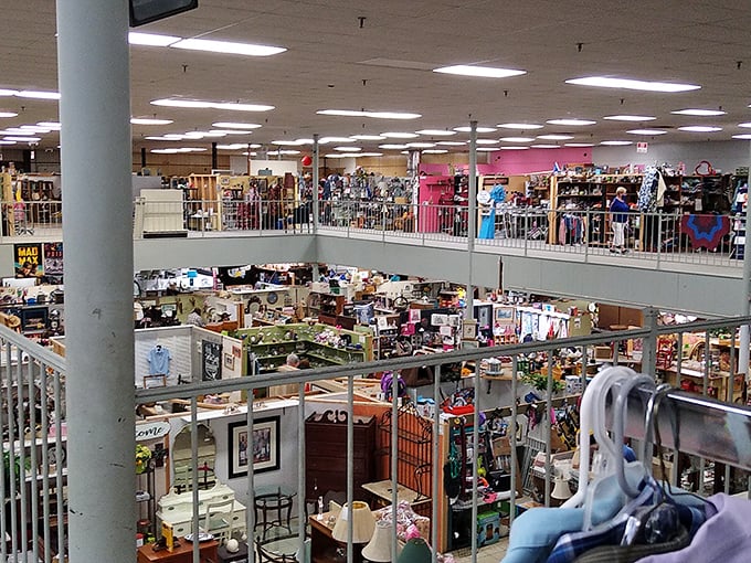 Sure, you could buy new. But why do that when you can dig through decades of personality-packed treasures? It’s not shopping—it’s spelunking for nostalgia. Bring comfy shoes, an open heart, and a big trunk.