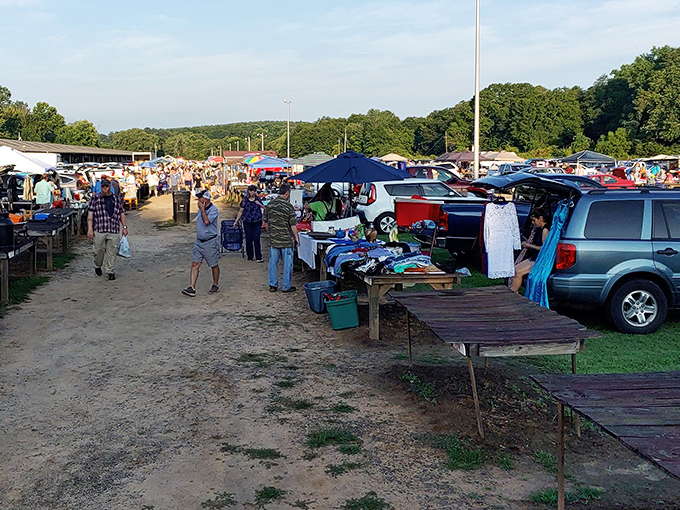 The treasure hunt begins! Rows of tables stretch toward the horizon as early birds scout for deals under the Carolina sky.