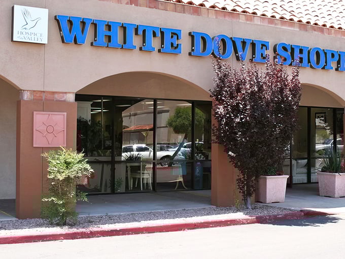 That classic Southwestern charm meets serious thrift shopping – your treasure hunt starts here.