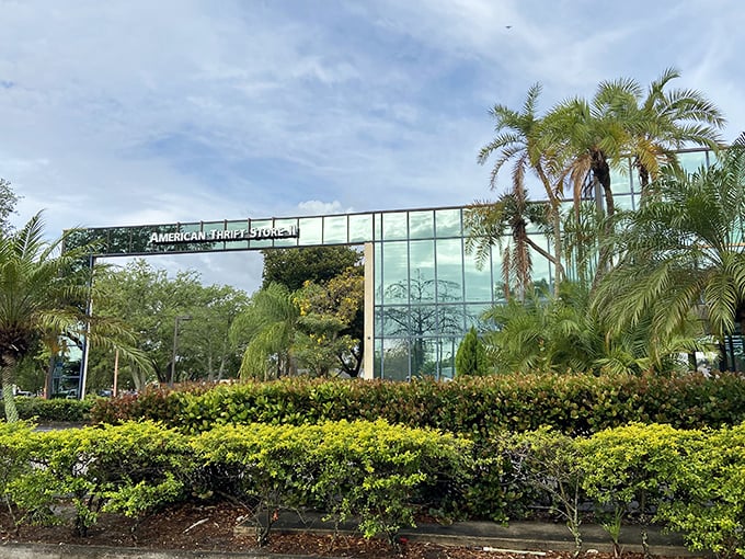 A modernist glass facade that houses treasures within—American Thrift Store stands like a crystal palace among Lauderhill's palm trees.