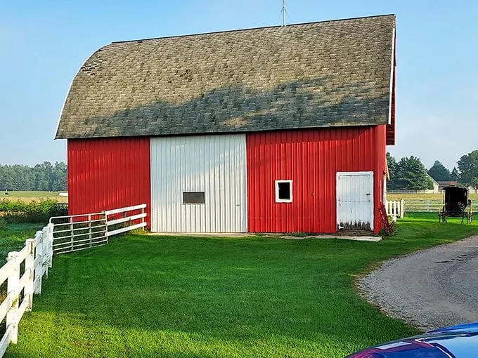 The classic red and white barn isn't just Instagram-worthy—it's a beacon of butter-based hope standing proudly against Michigan's blue sky.