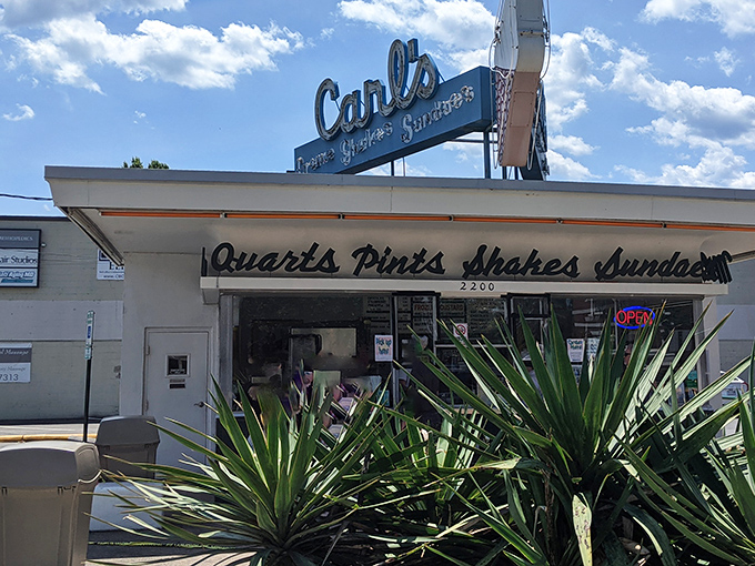 The Art Deco façade of Carl's isn't trying to be retro-cool—it just never stopped being what it always was. A time capsule of mid-century Americana serving frozen perfection.