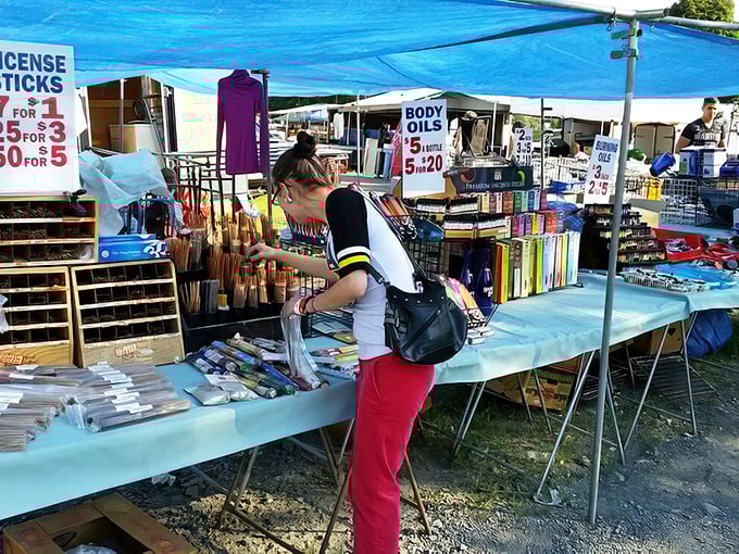 Treasure hunting paradise under blue Pennsylvania skies. The gravel pathways of Blue Ridge Flea Market lead to discoveries waiting around every corner.