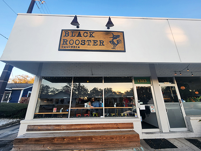 The unassuming storefront of Black Rooster Taqueria beckons like a secret handshake among Orlando foodies. Those wooden benches have witnessed countless taco-induced smiles.
