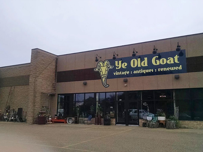 The iconic blue sign welcomes treasure hunters with its whimsical goat logo—a promise of vintage delights waiting inside.