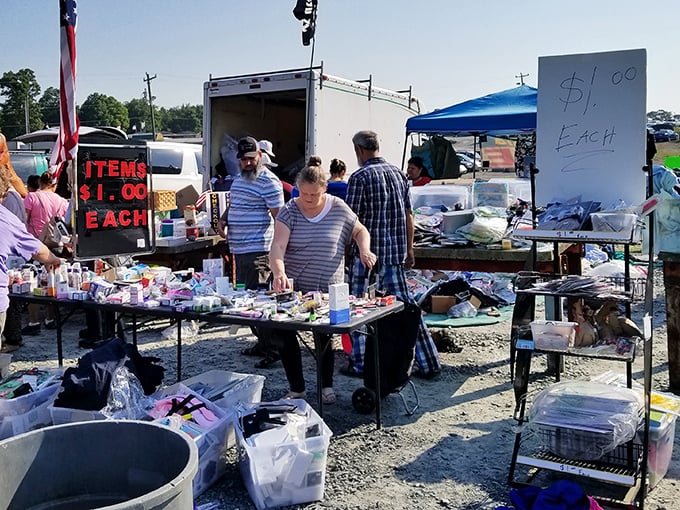 The treasure hunt begins! Colorful canopies and makeshift stalls stretch across the gravel lot, each one a portal to unexpected discoveries.